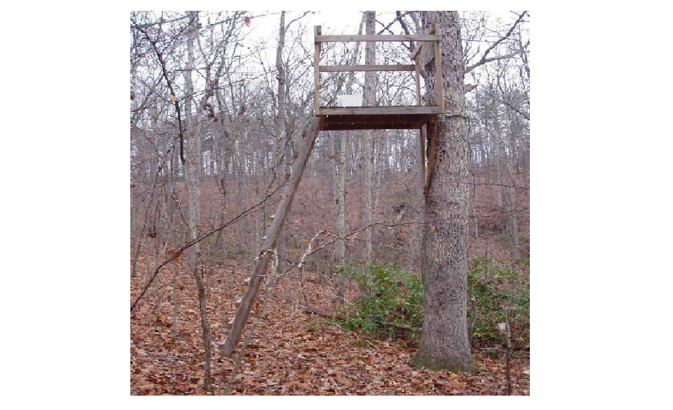 rl17 | Inquisitive Quest