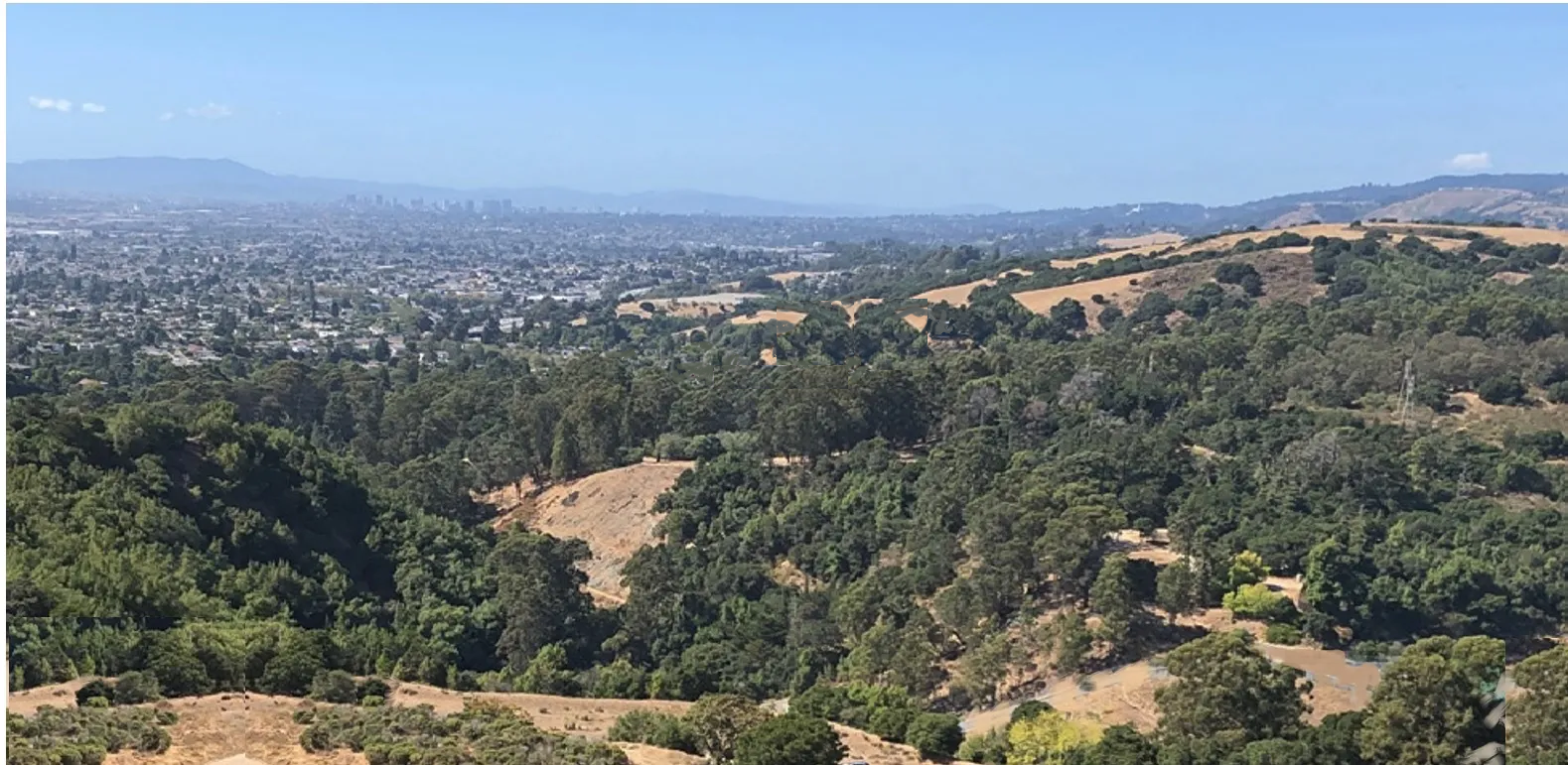 Acclivous Goal…………………#35 (the 50’s) | Inquisitive Quest