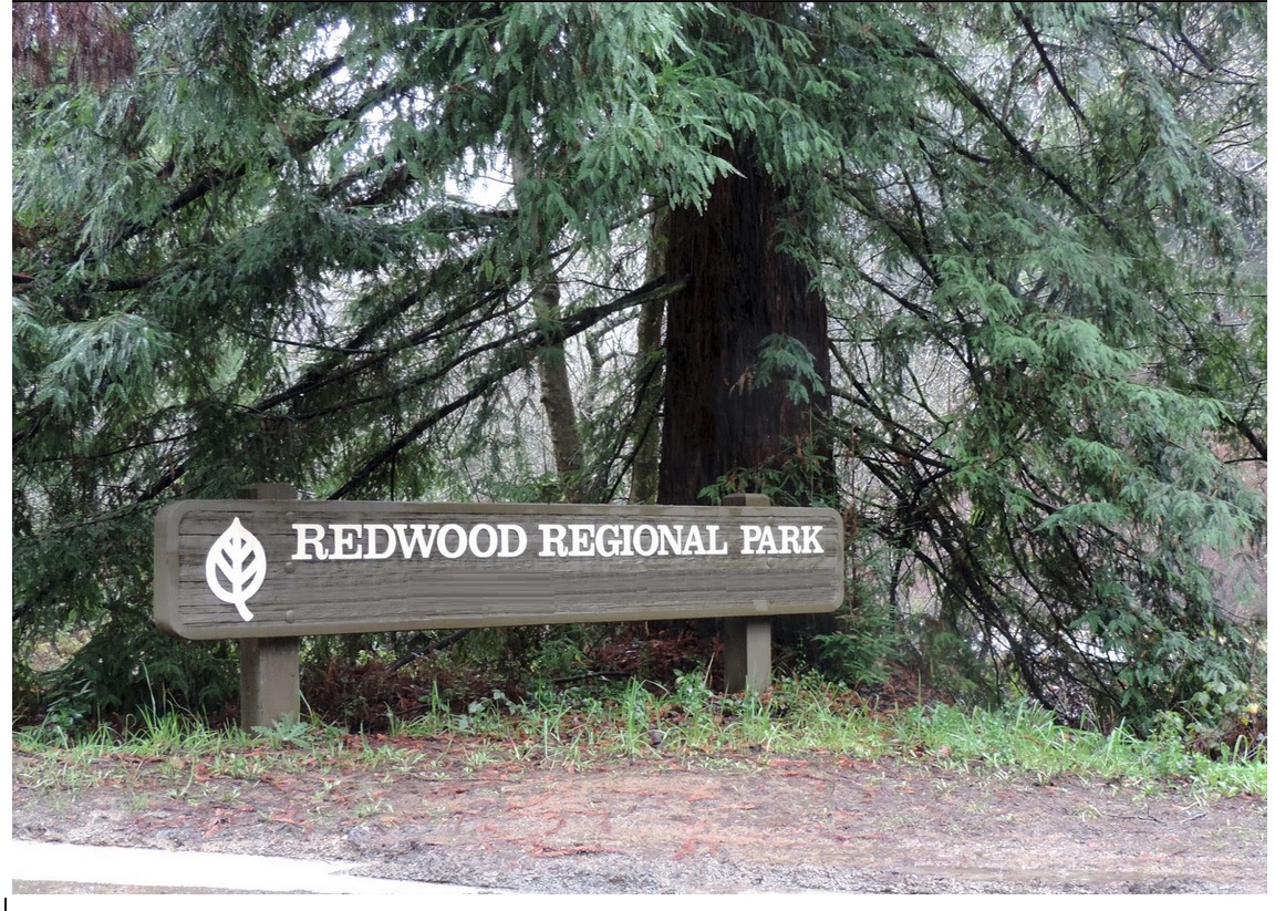 Acclivous Goal…………………#35 (the 50’s) | Inquisitive Quest