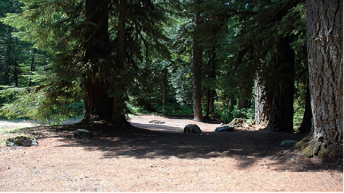 Acclivous Goal…………………#35 (the 50’s) | Inquisitive Quest