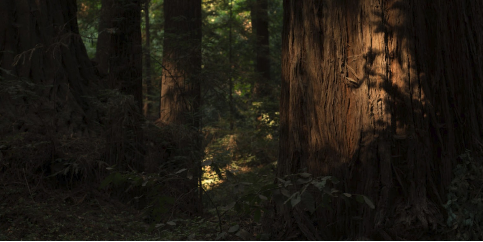 Acclivous Goal…………………#35 (the 50’s) | Inquisitive Quest