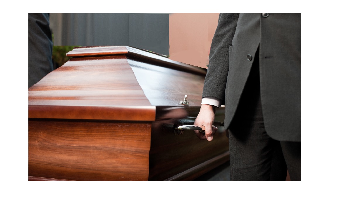 cn31 | Inquisitive Quest